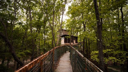 Eufaula Treehouse Tree-sort | TravelOK.com - Oklahoma's Official Travel & Tourism Site